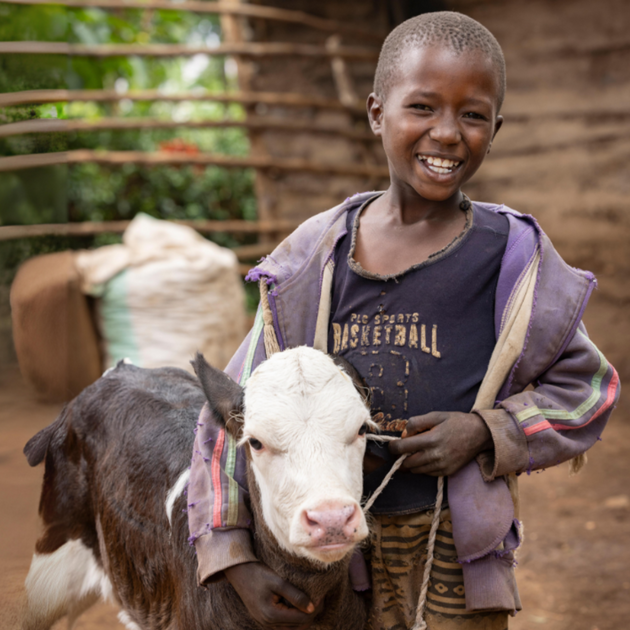 Printed Cards – ChildFund New Zealand